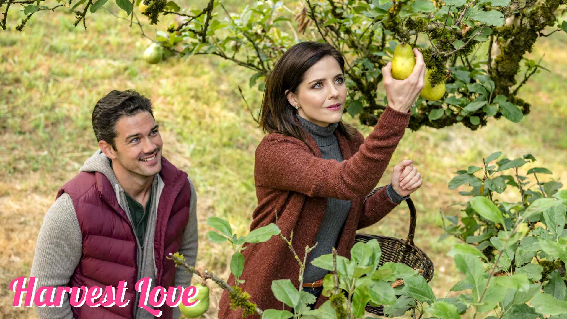 Top 20 beste romantische films voor de romantiek-fans - WithLove