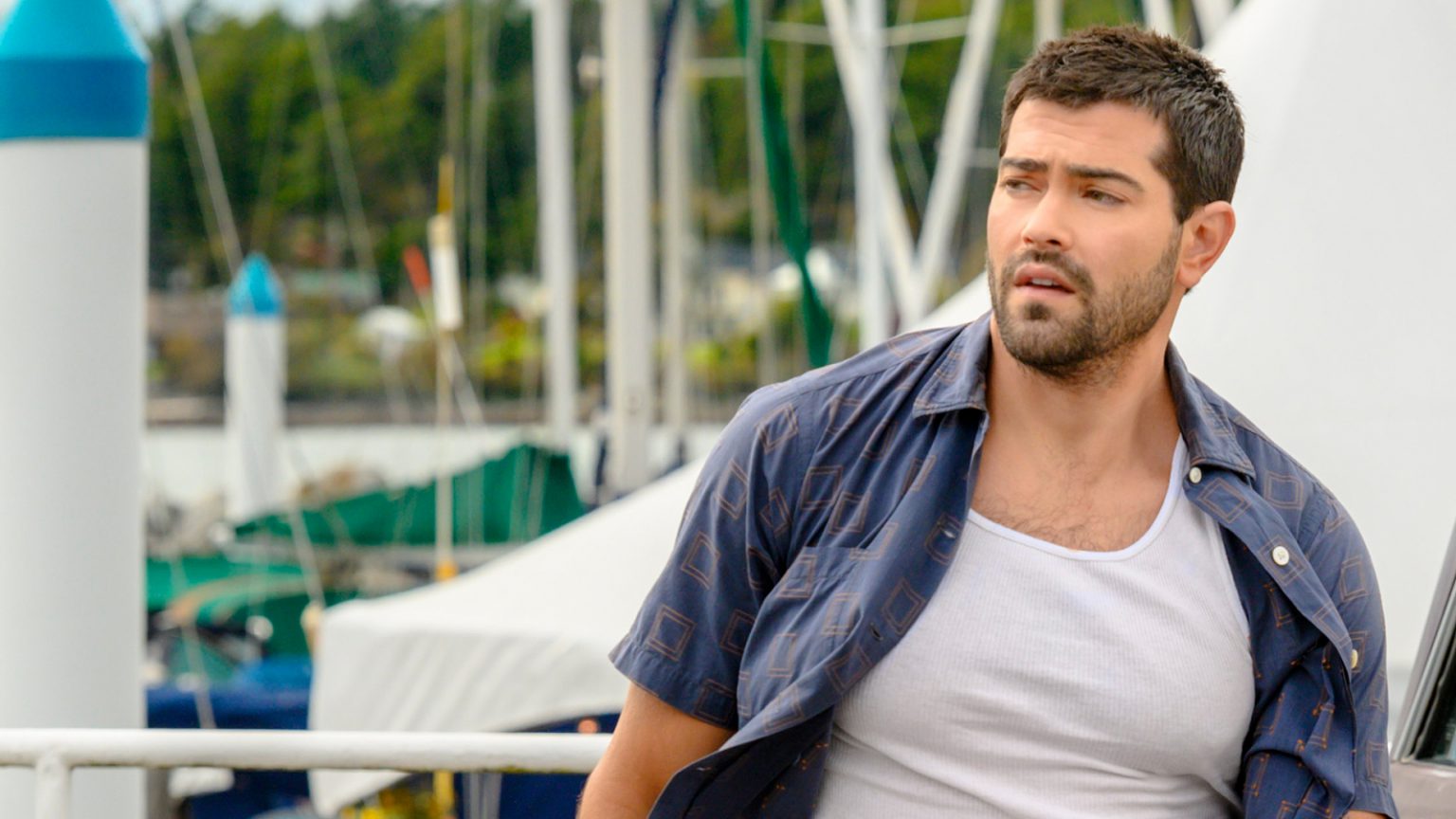 Martha's Vineyard Mysteries - Lees alles over deze serie